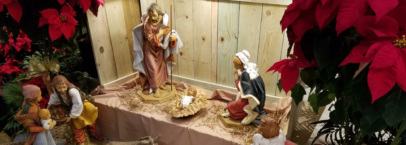 Awaiting The Return Of Jesus – DailyReflection.org